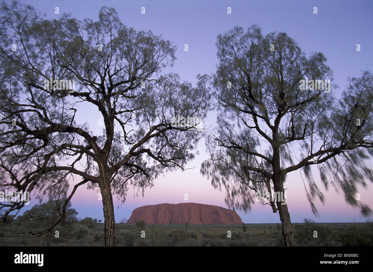 Australia dusk Ayers Rock mood Northern Territory park rock trees ...
