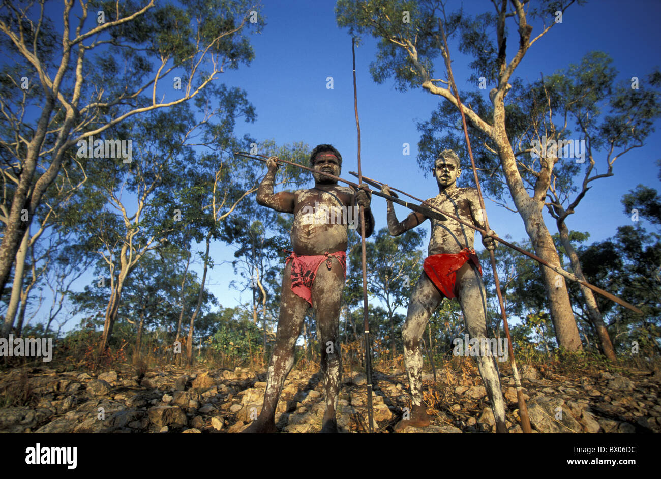 Aboriginal Aborigines arms Australia hunter Manyallaluk native no model ...