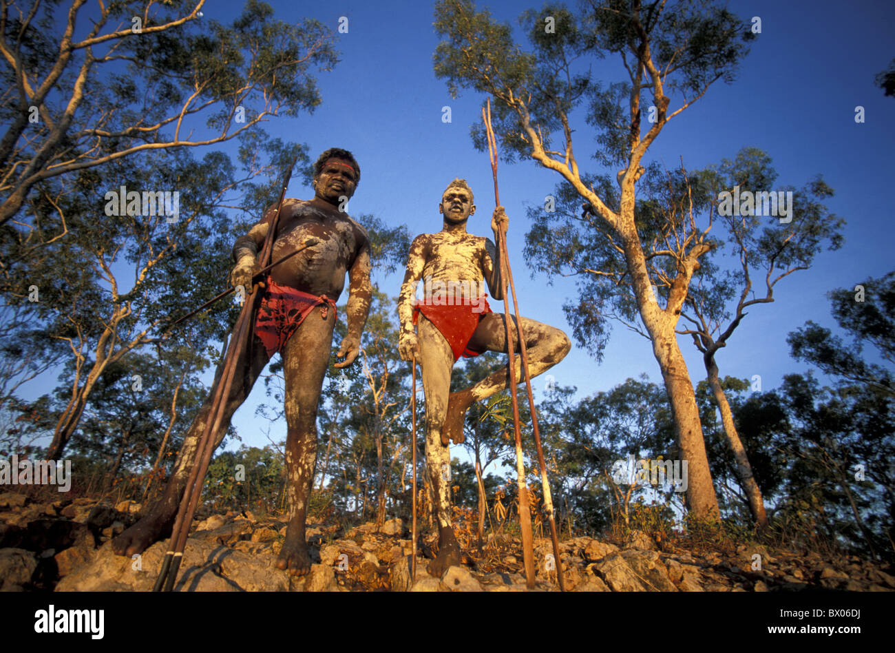 Aboriginal Aborigines arms Australia hunter Manyallaluk native no model ...