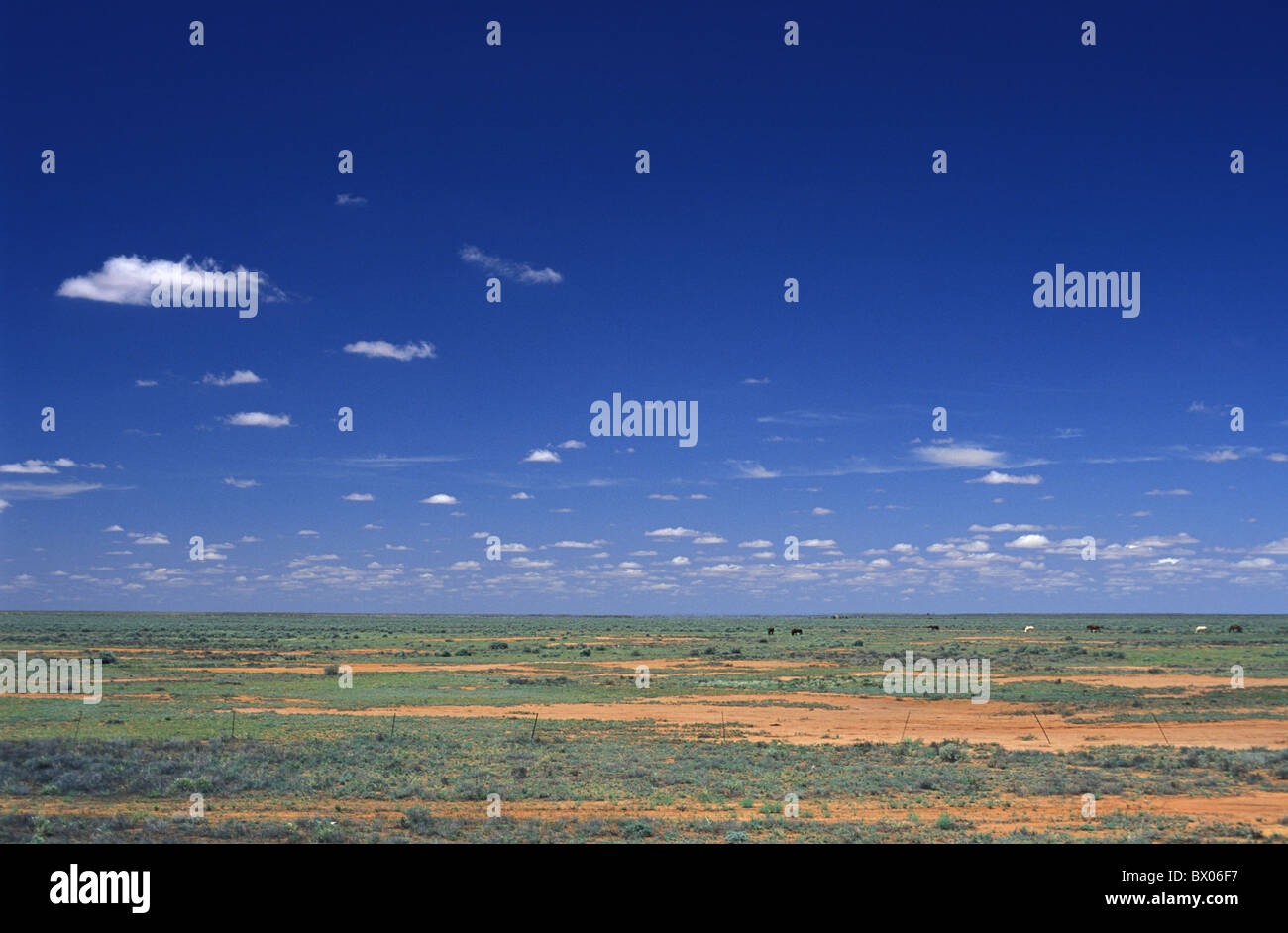 Australia Broken Hill desert level New South Wales Outback plain scanty ...