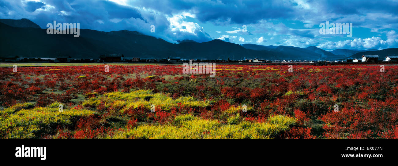 Dramatic landscape, Shangri-la, DiQing Tibetan Autonomous Prefecture ...
