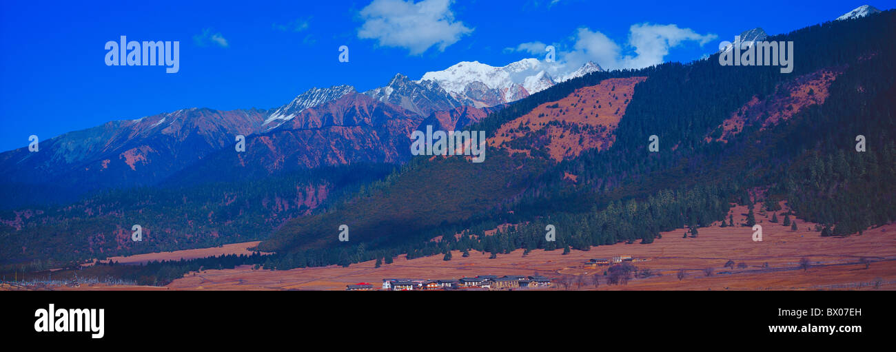 The lulang forest hi-res stock photography and images - Alamy