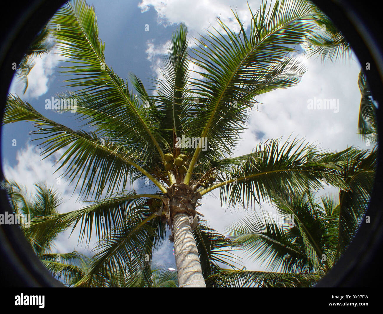 With fish and plants hi-res stock photography and images - Alamy