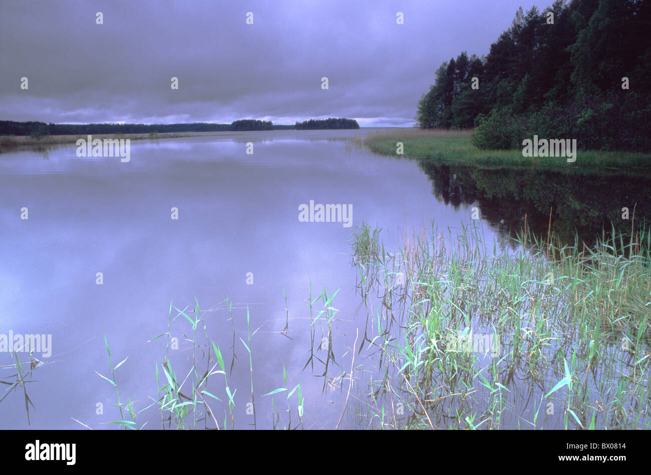 emotion Finland feeling emotion sky season scenery nature rain rain ...