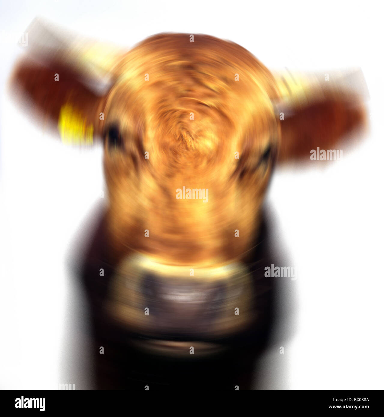 movement BSE danger threat dangerously illness cow bovine spongiform ...