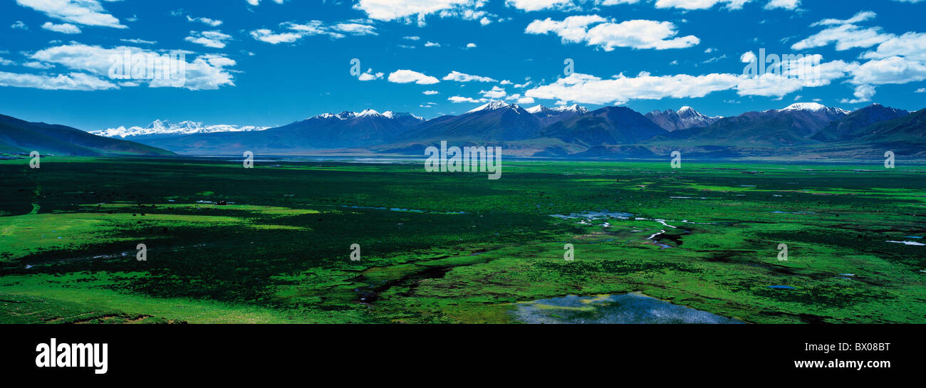 Changtang Plateau High Resolution Stock Photography and Images - Alamy