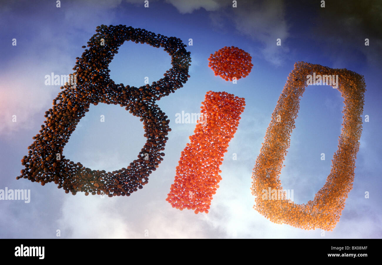 biology biological food feeding food eating health grain of course ...