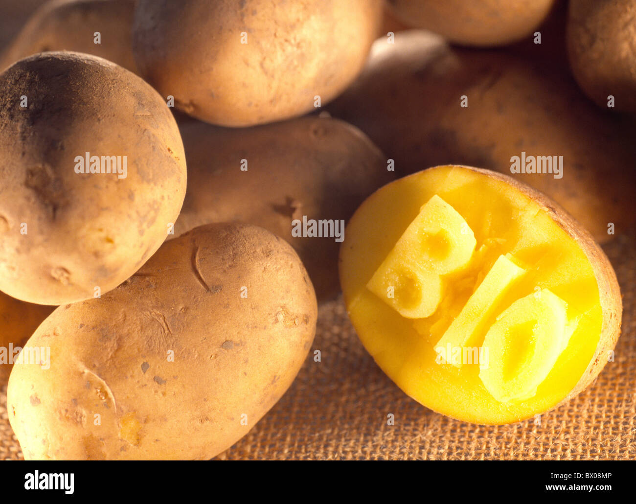 biology biological food feeding food eating vegetables health potato ...