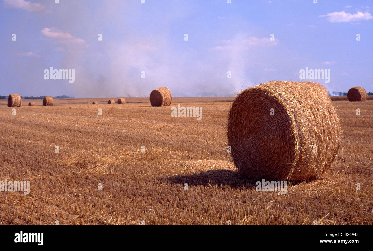 agriculture harvest crop field field work sky season scenery ...