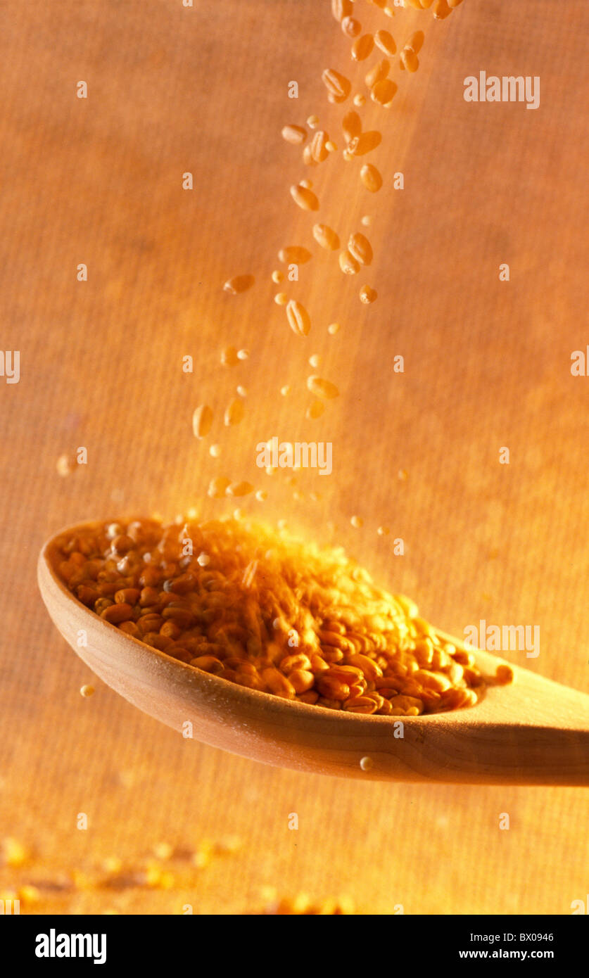 biology biological food feeding food eating reproduction dishes harness ...