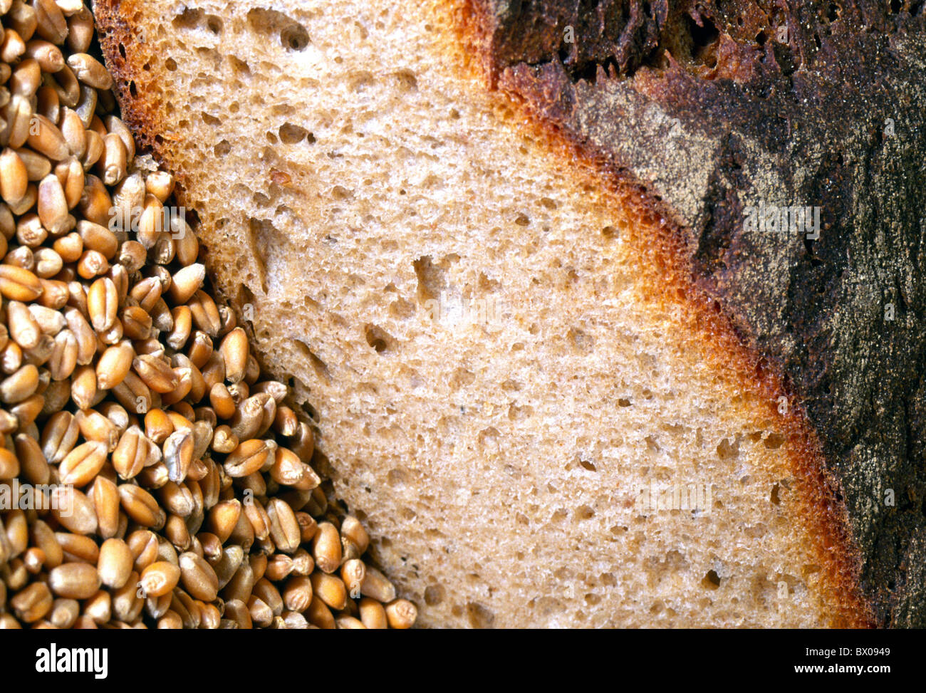 biology biological bread food feeding food eating health grain ...