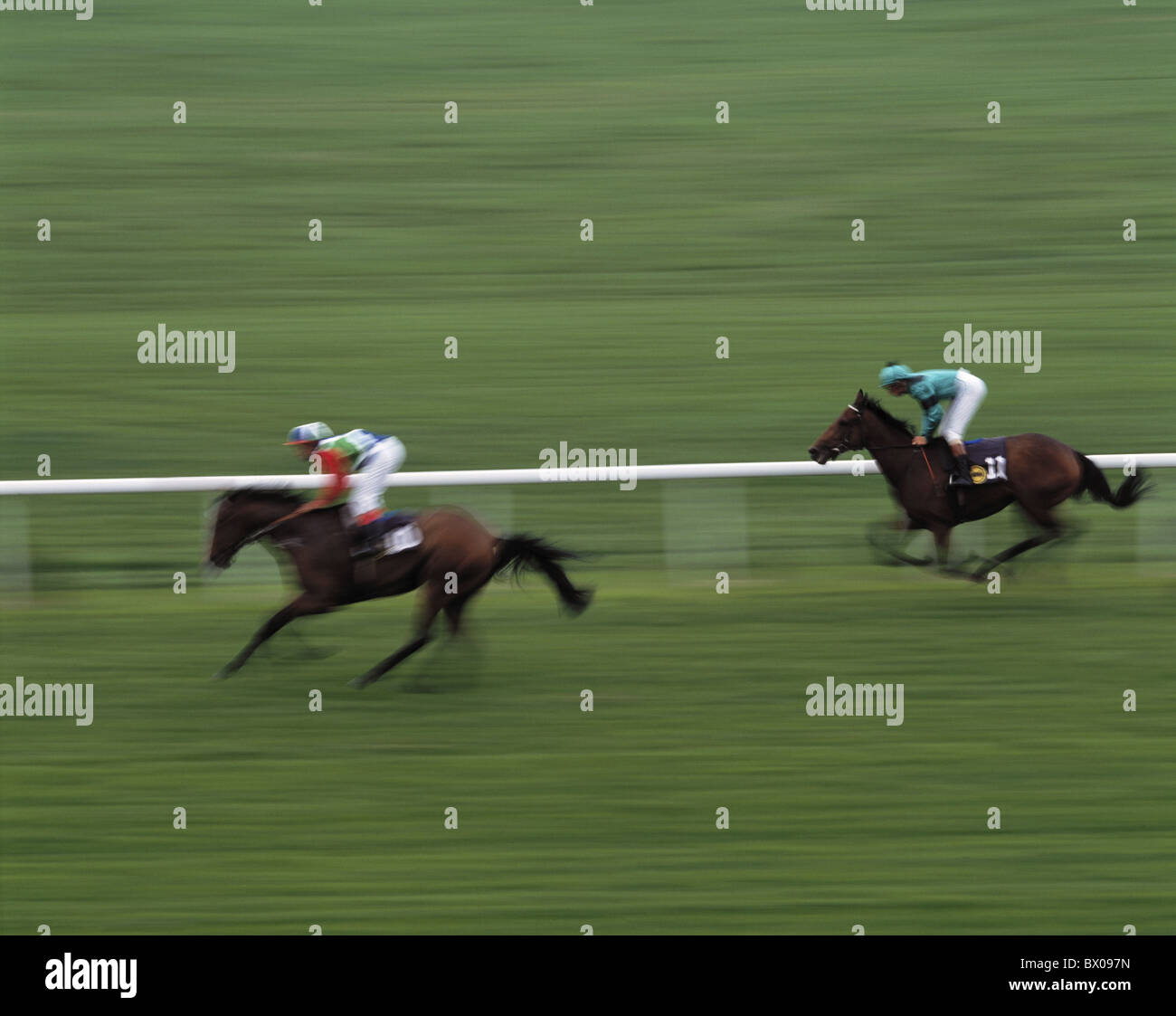 action gallop running Jockeys horses horse runnings horses horse-racing ...