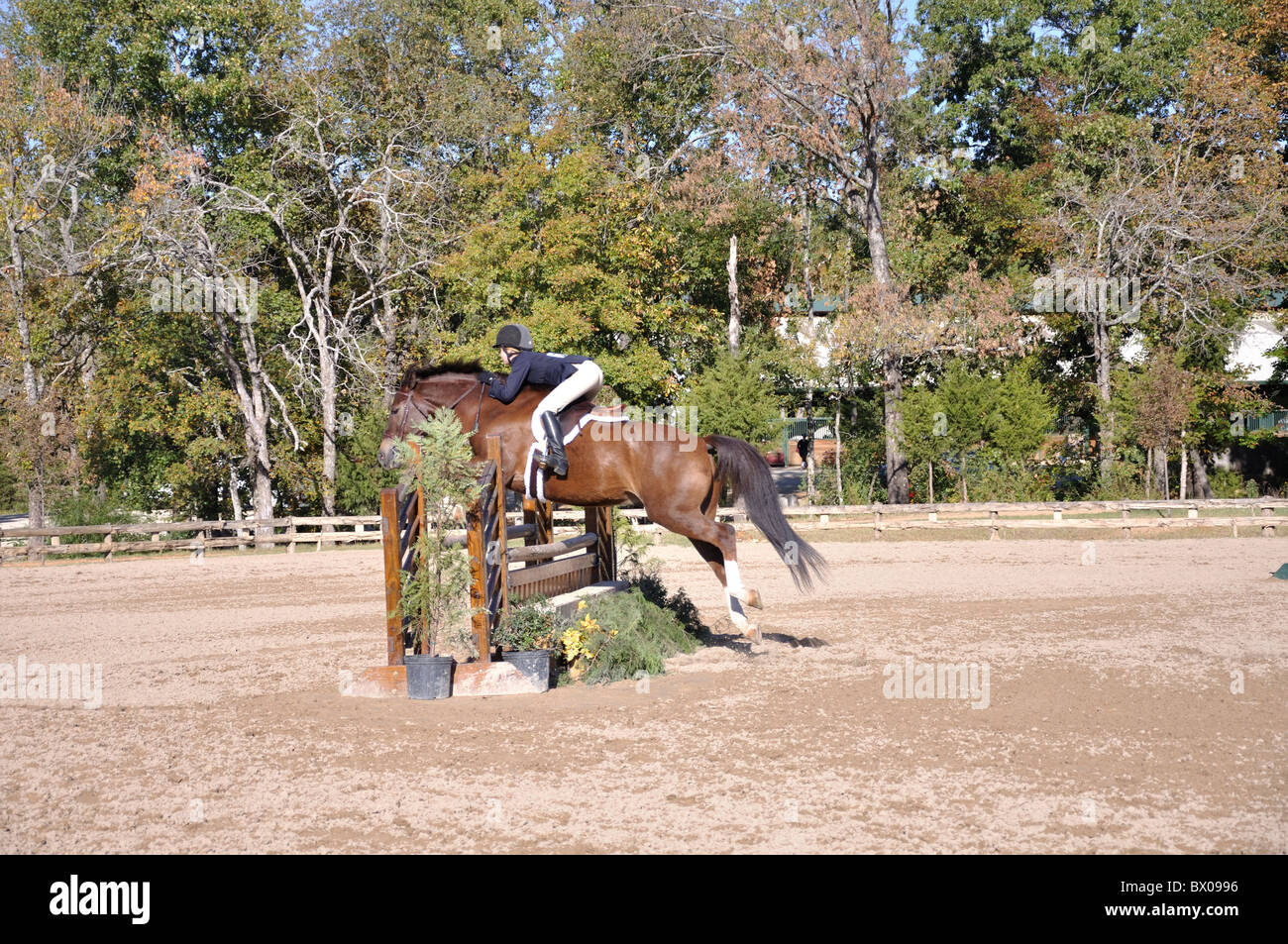 Jumping jump jumps obstacles competition tyler hi-res stock photography ...