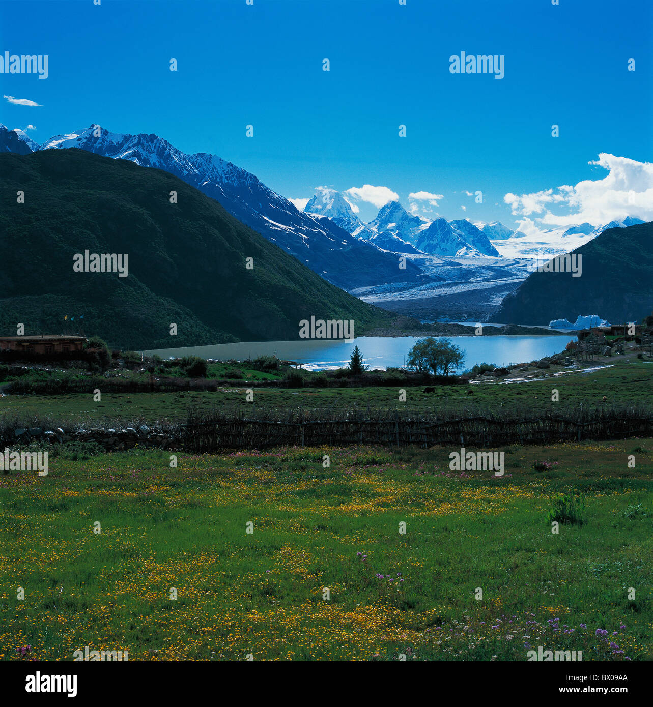 Basum lake hi-res stock photography and images - Alamy