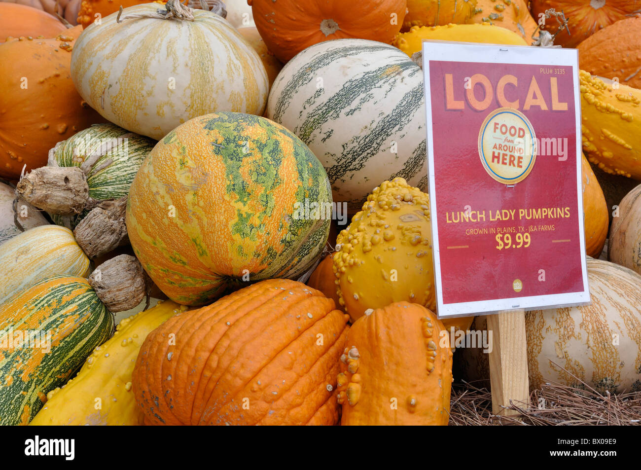 Locally grown pumpkins on sale at local Whole Foods supermarket, Plano ...