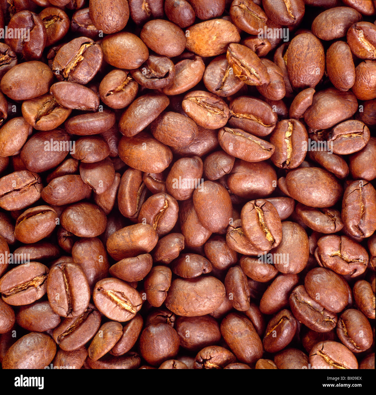 close up food feeding food eating drink coffee coffee bean food ...