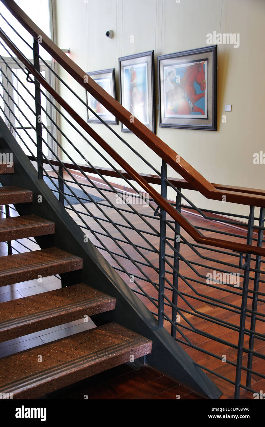 Double railing stair case Stock Photo - Alamy