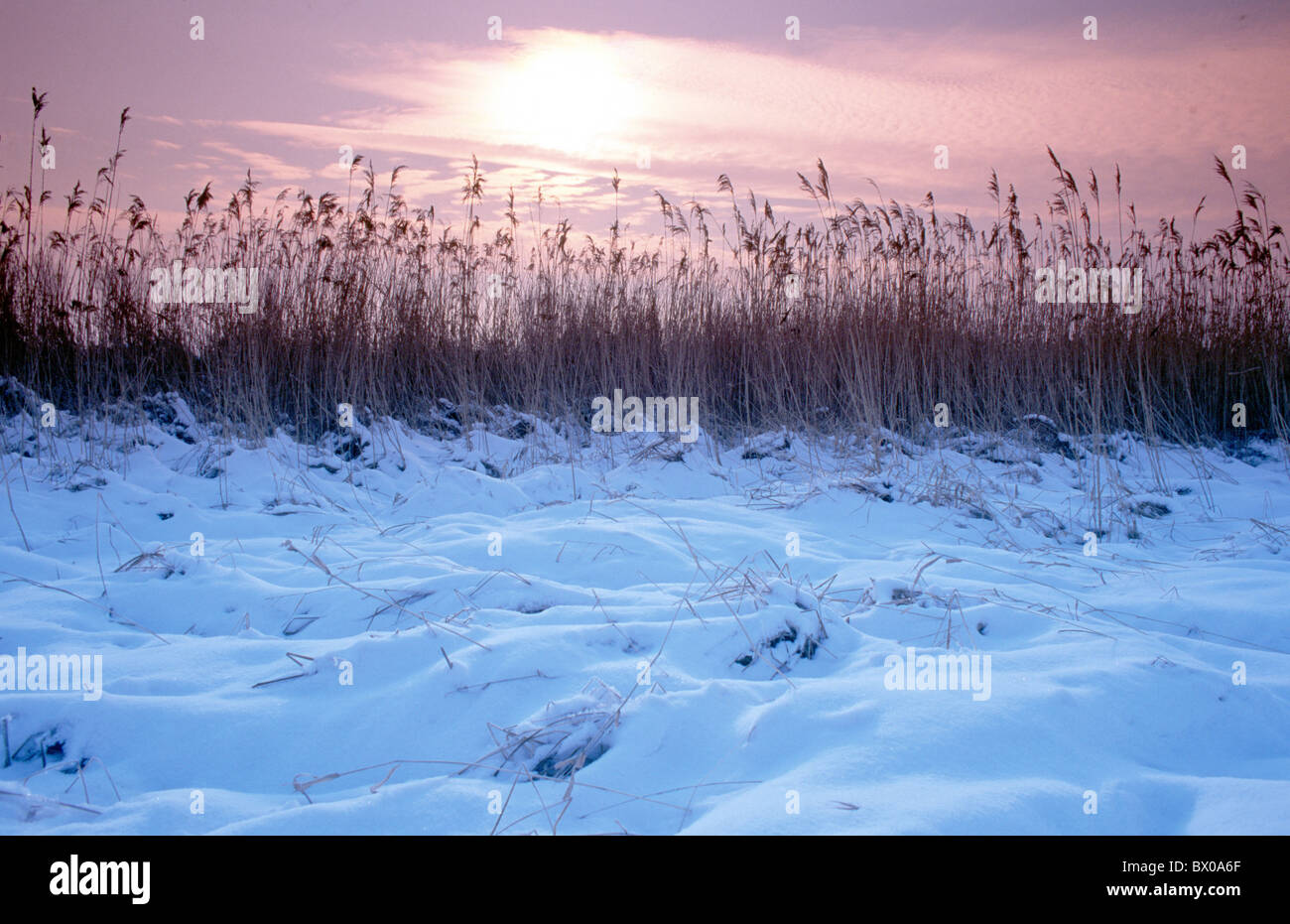 emotion peaceful feeling emotion season scenery light nature Outdoor ...