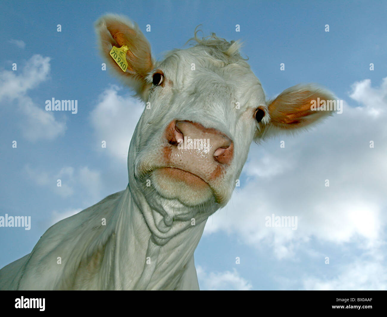 emotion joy happily cheerfully feeling emotion good weather good ...