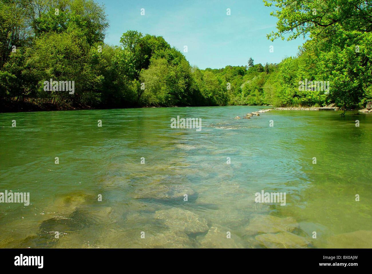 trees river flow river run body of water scenery nature shore water ...