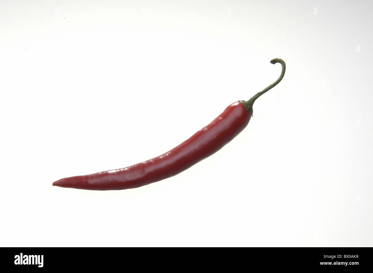 chilli chilli pod food eating vegetables spice cooking boiling kitchen ...