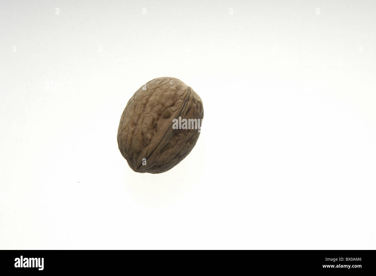 tree nut food eating food groceries nut nuts studio walnut Stock Photo ...