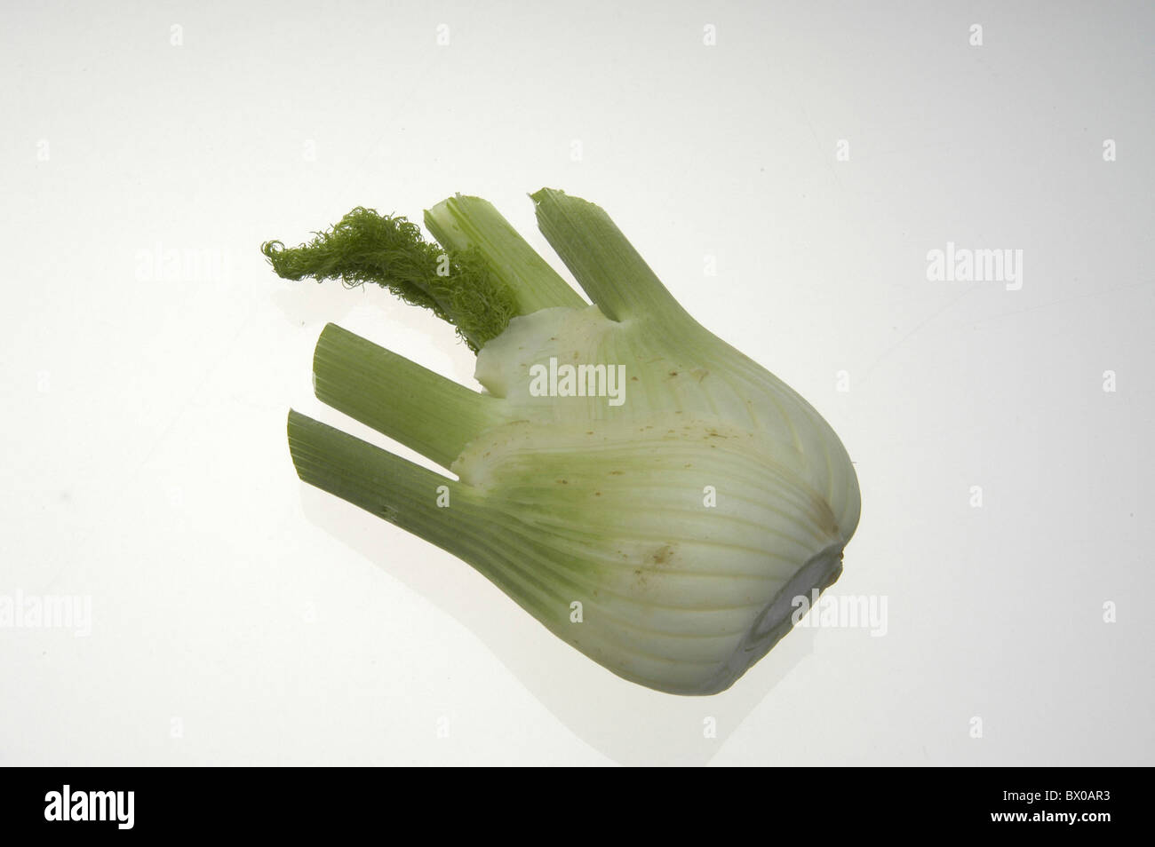 fennel food vegetables cooking boiling kitchen cuisine food groceries ...