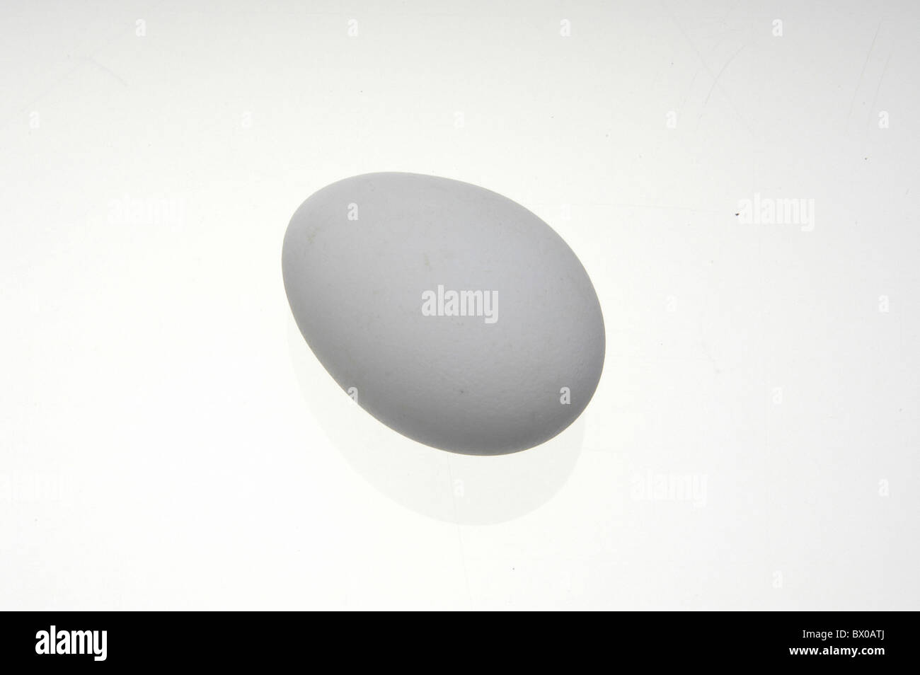 egg food eating chicken hen hen's egg cooking boiling kitchen cuisine ...