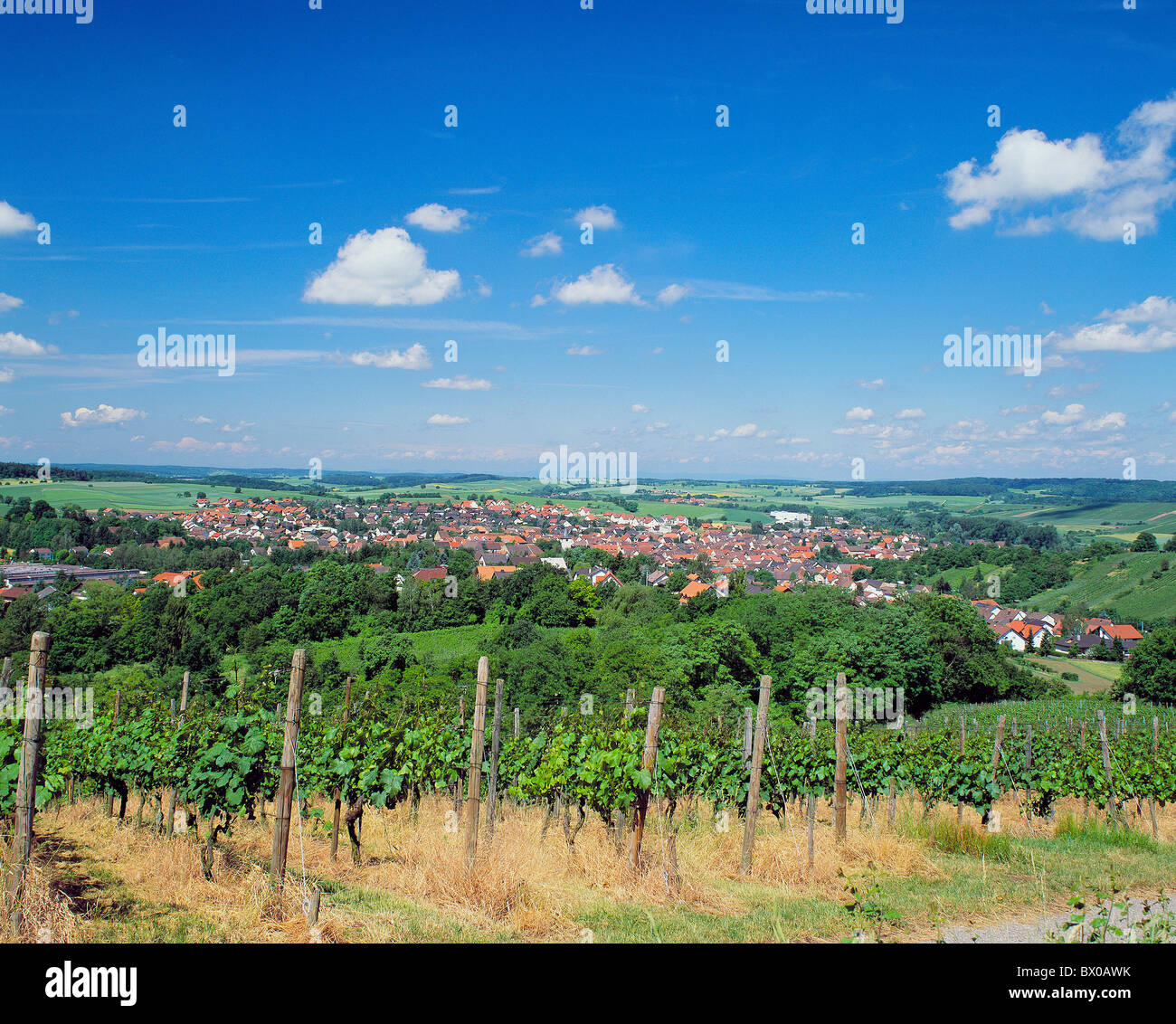 Germany Europe Baden-Wurttemberg scenery village Sulz Neckar river flow ...