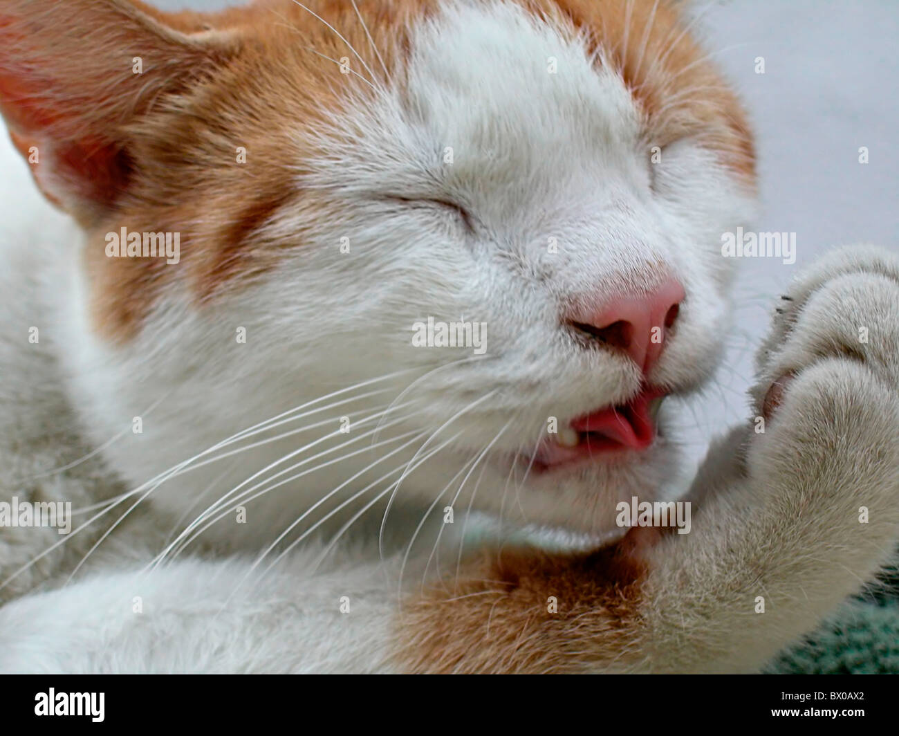 close up detailed admission individual yellow comfortably face gold ...