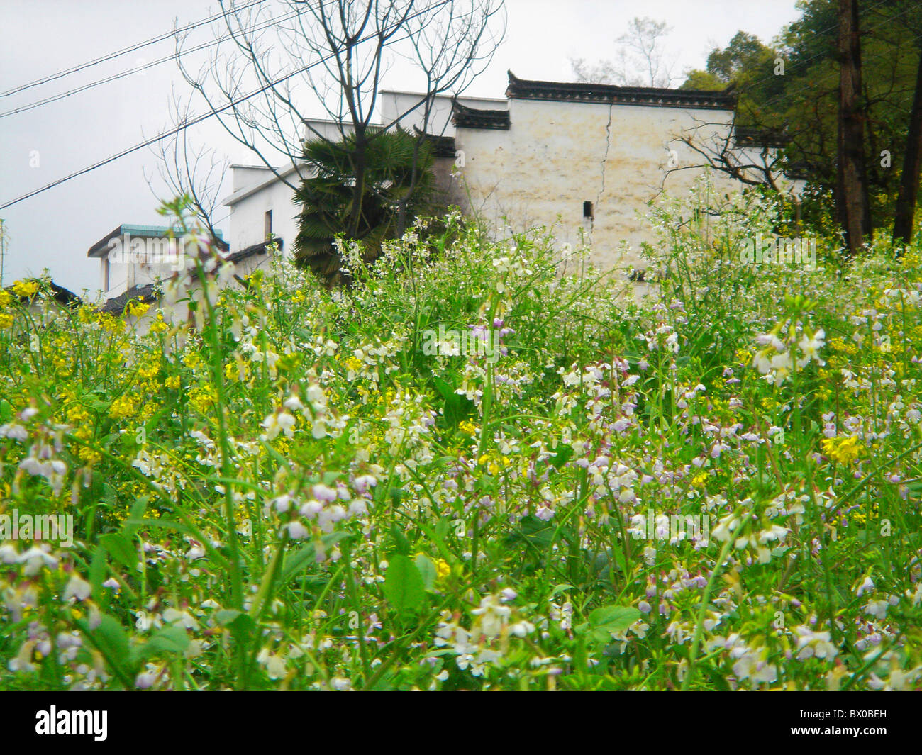 Traditional Hui style homes in a village, Jixi, Anhui Province, China ...
