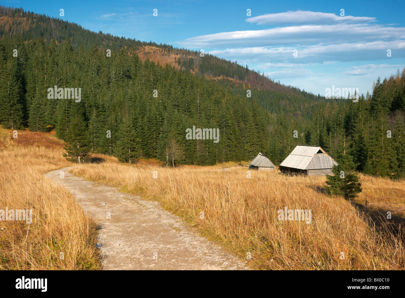 Jaworzynka Valley - Tatra Mountains, Poland Stock Photo - Alamy
