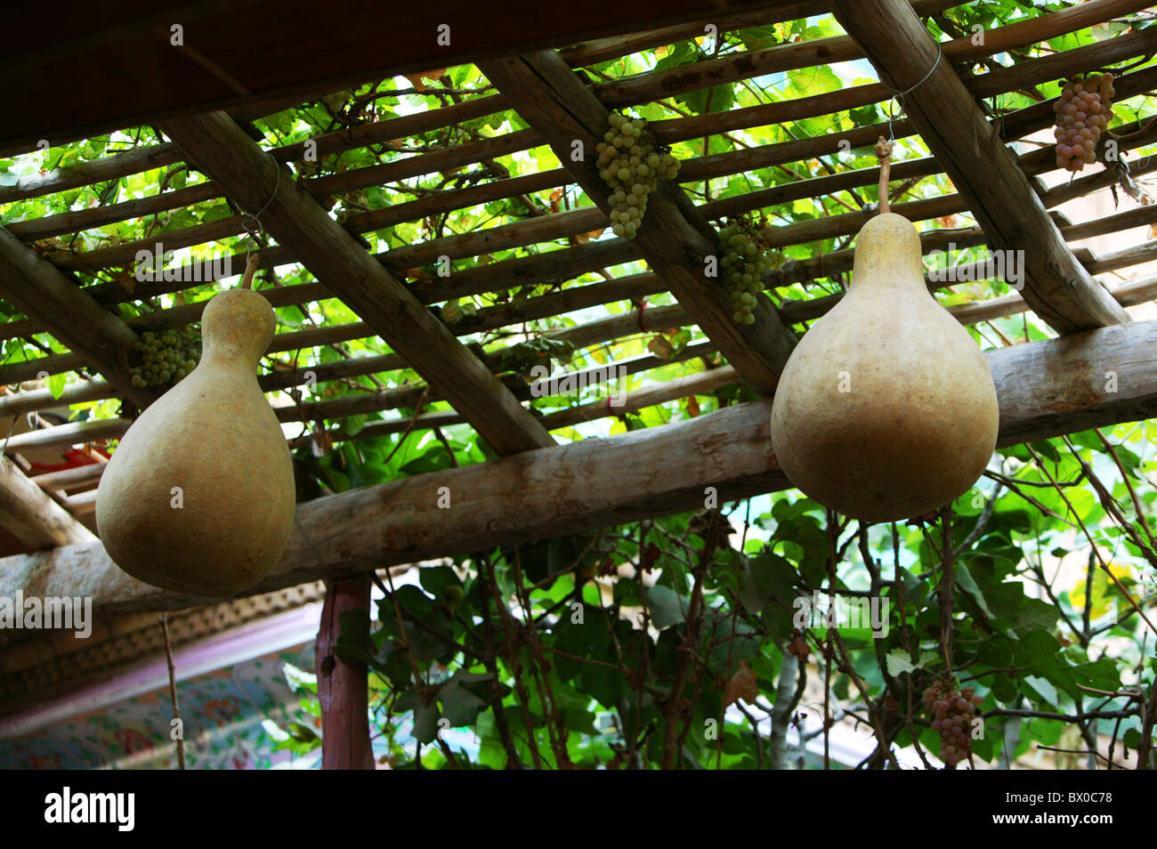 Calabash fruit, Kashgar Ancient Town, Xinjiang Uyghur Autonomous Region ...