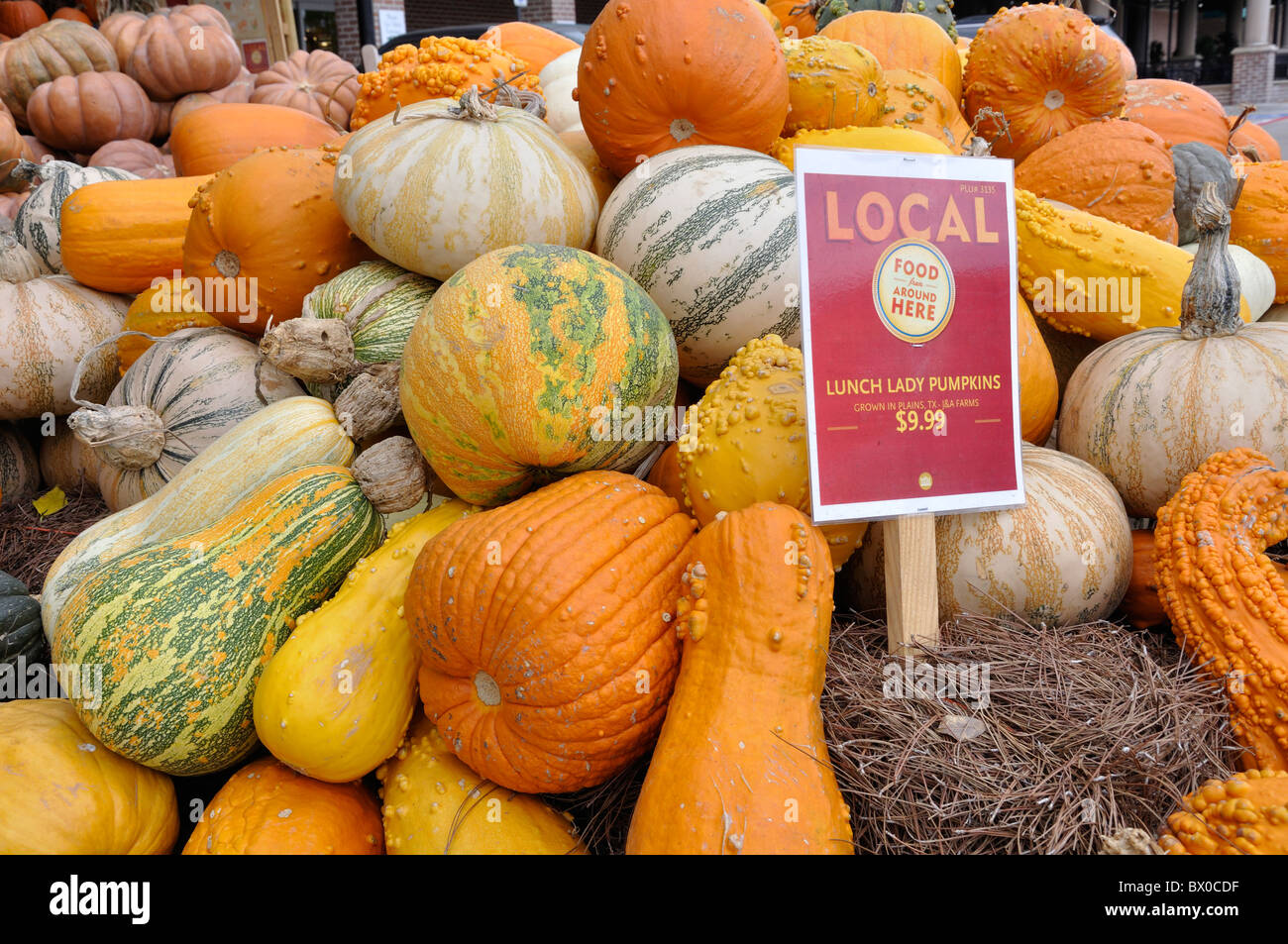 Locally grown pumpkins on sale at local Whole Foods supermarket, Plano ...