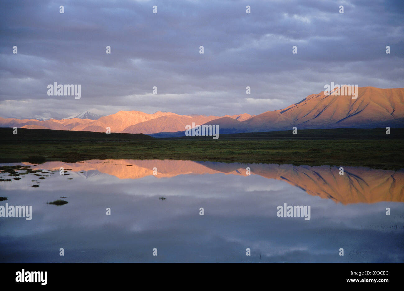 evening afterglow alpenglow evening mood Alaska Alpenglow Arctic ...