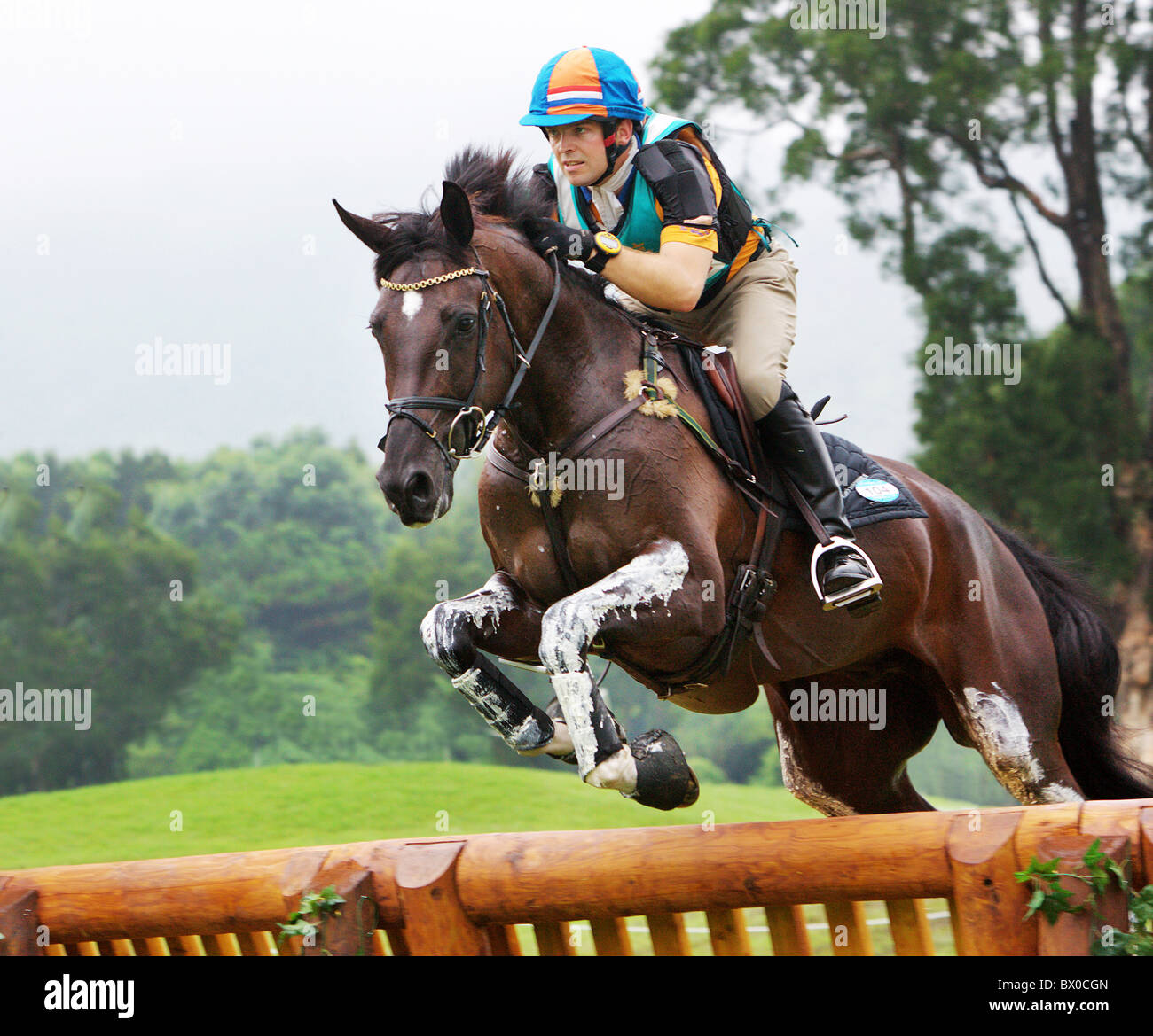 Equestrian and horse leaping over a hedge, Hong Kong, China Stock Photo ...