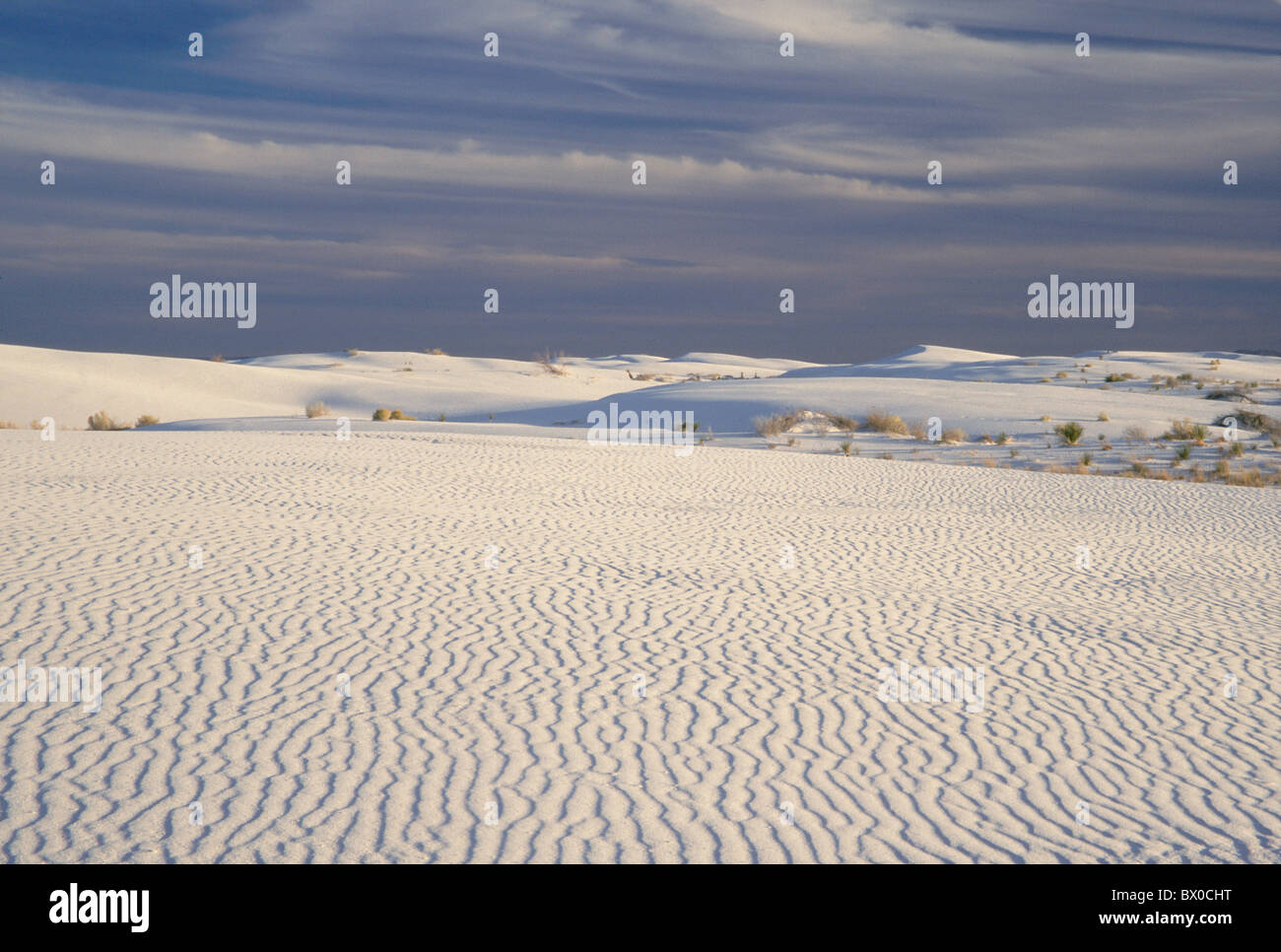 evening mood dunes dryness Horizontal national park New Mexico ...