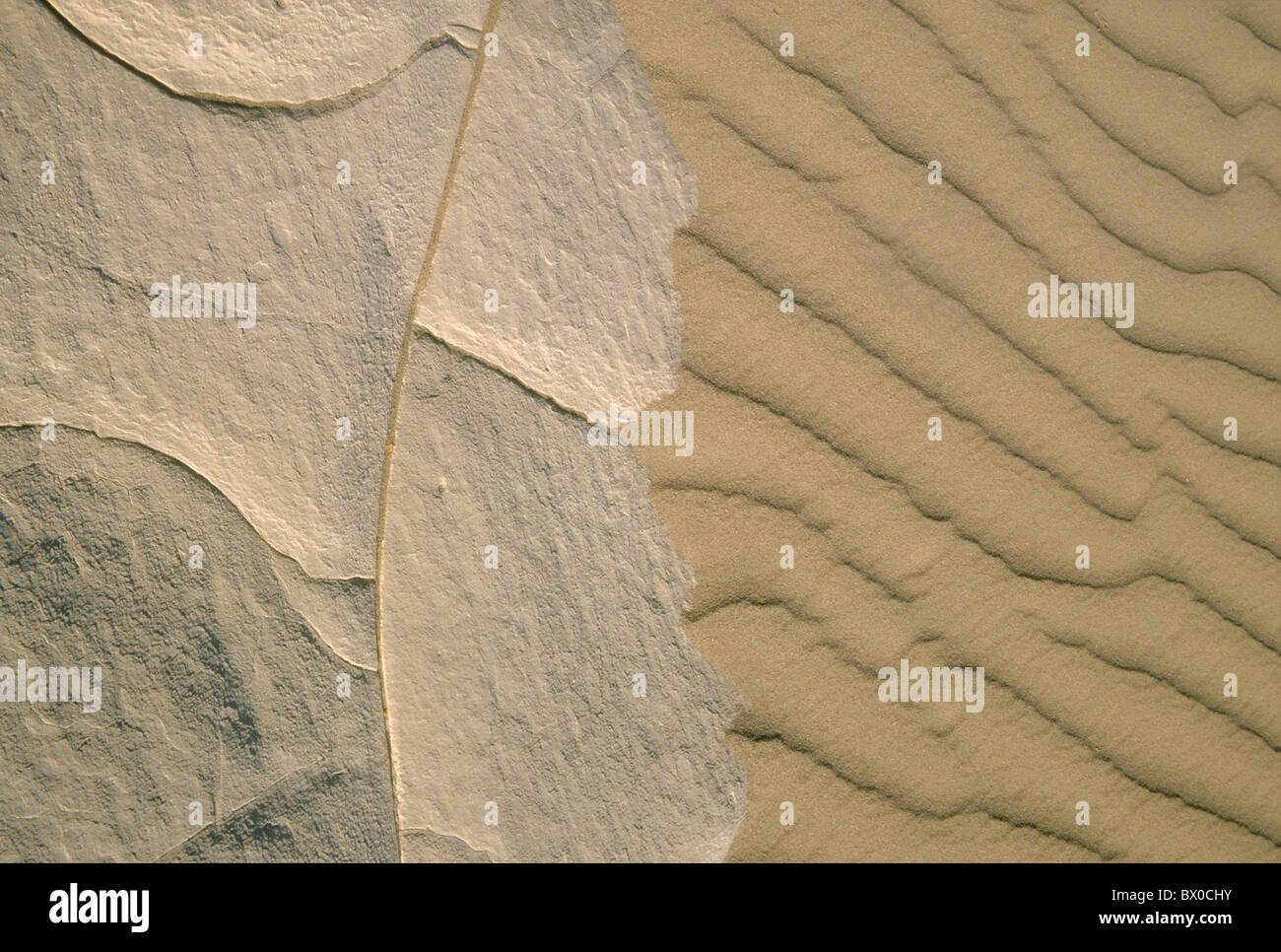 dried out Death Valley dryness thirst thirsty earth records graphically ...