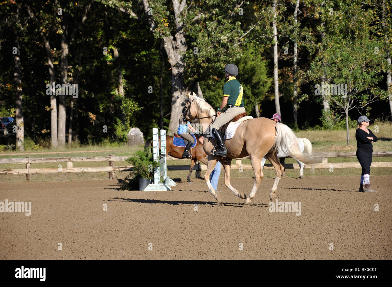 Equestrian competition equestrian horse rider tyler hi-res stock ...