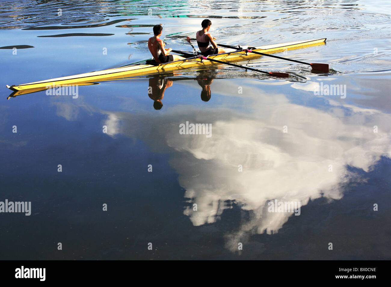 Chinese men paddling in canoe, Hong Kong, China Stock Photo - Alamy