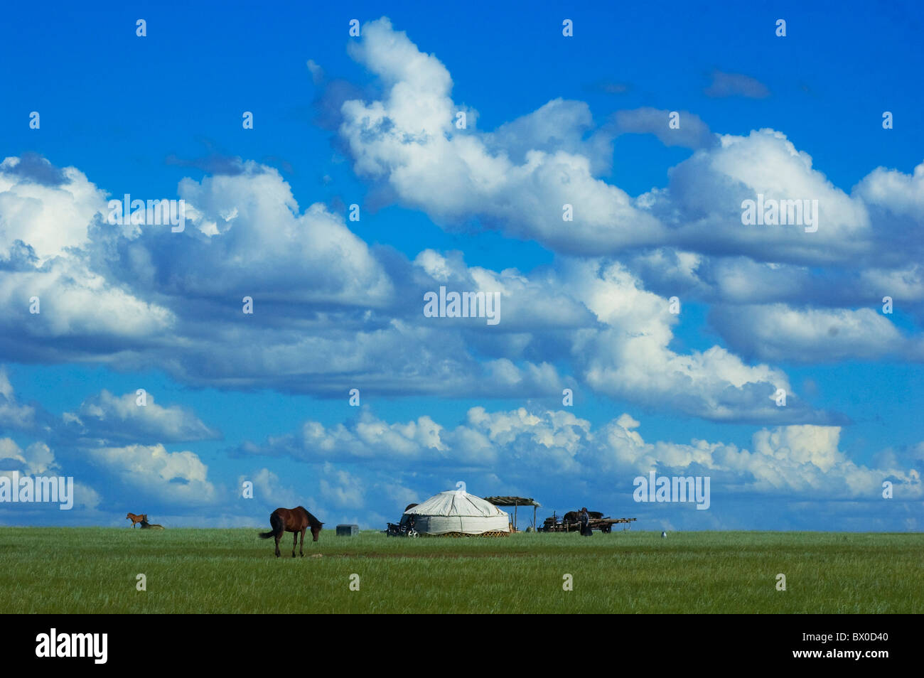 Hulun Buir Grassland, Manzhouli, Hulunbuir, Inner Mongolia Autonomous ...
