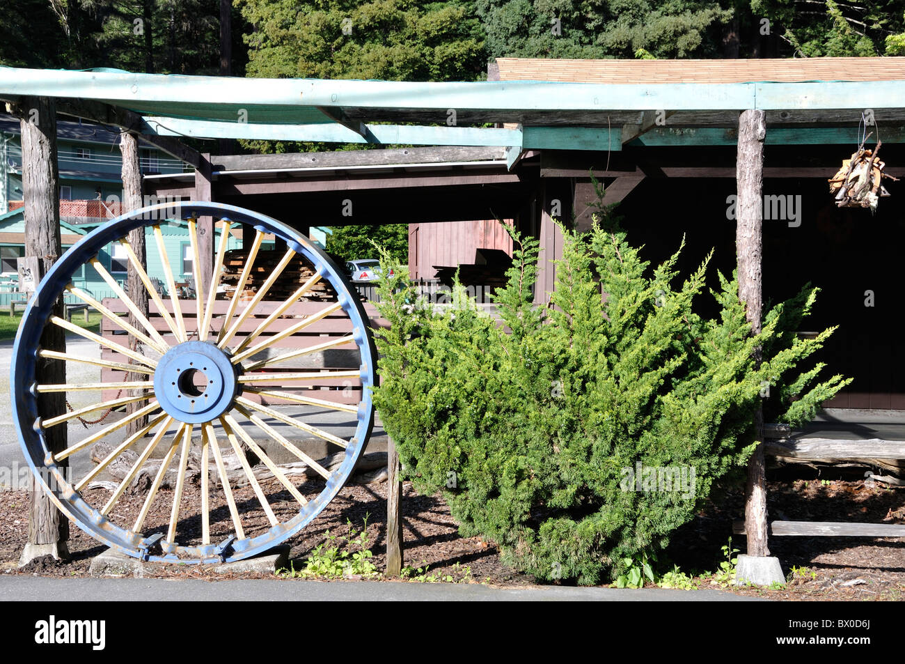 Eternal tree house california hi-res stock photography and images - Alamy