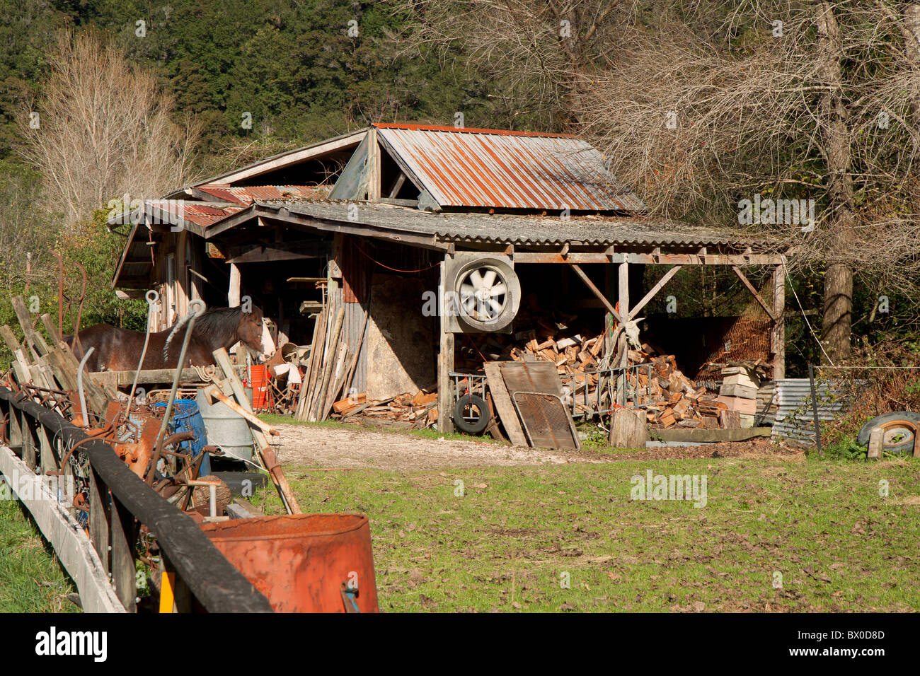 Collectible Junk Barn