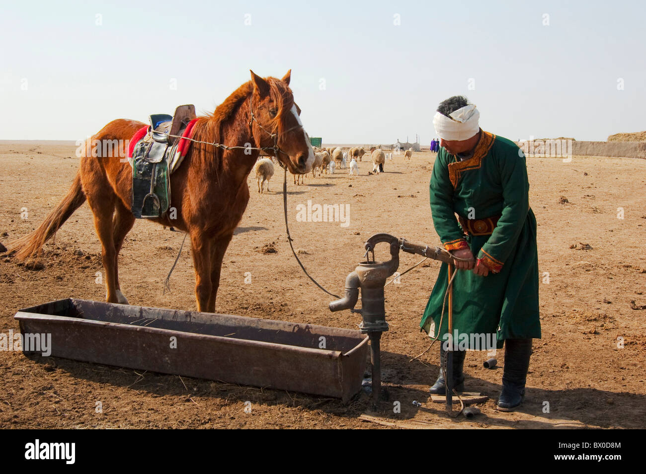 Barag Mongolian man pumping water for his horse, Old Barag Banner ...
