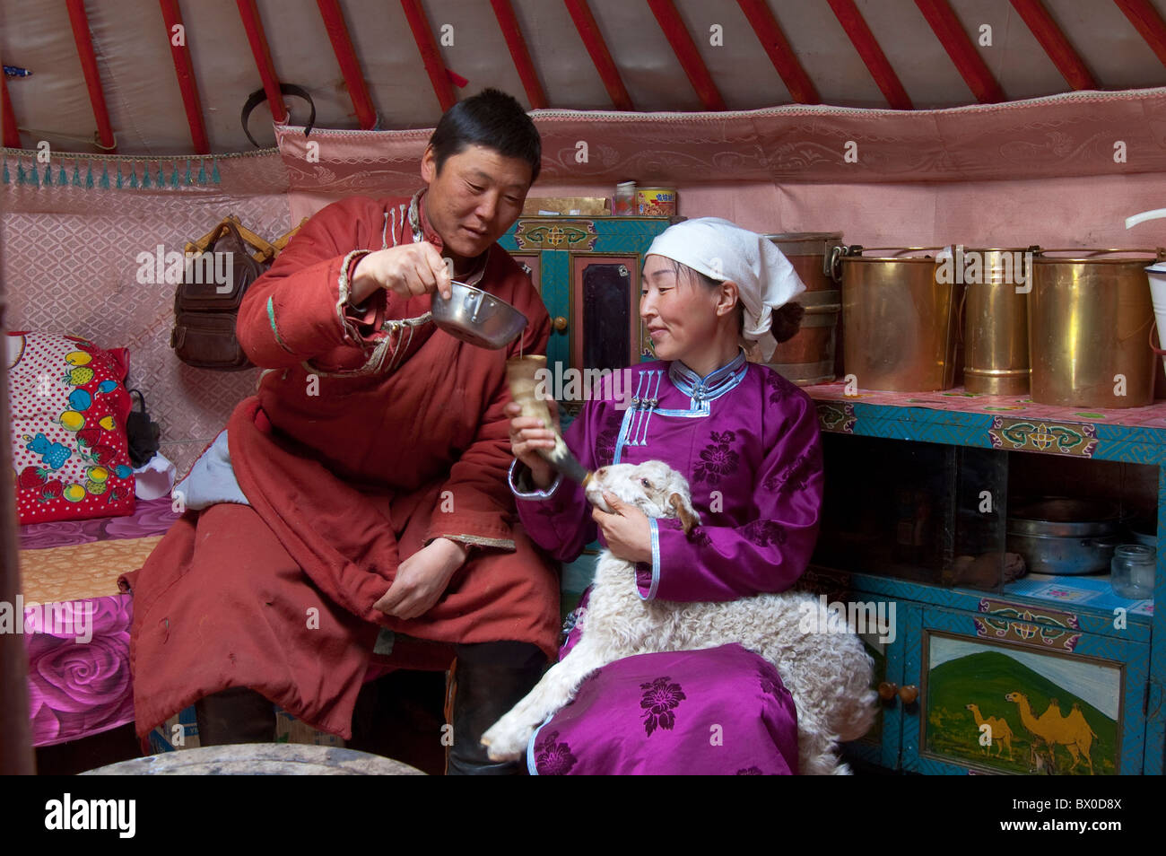 Barag Mongolian couple feeding a lamb, Old Barag Banner, Hulunbuir ...