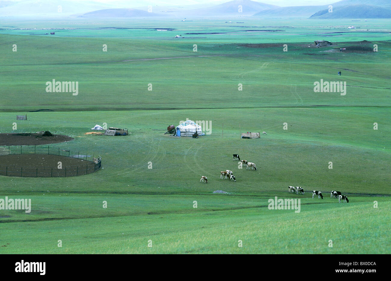 Hulun Buir Grassland, Manzhouli, Hulunbuir, Inner Mongolia Autonomous ...