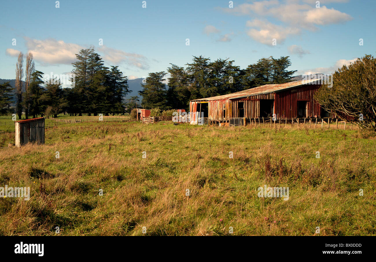 Old timber built barn on a New Zealand farm Stock Photo - Alamy