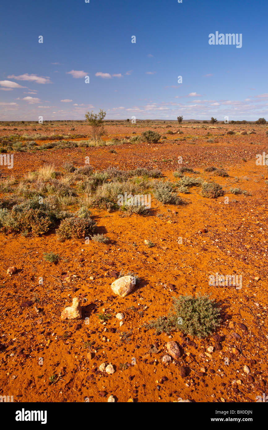 Red gibber plain menindee stony hi-res stock photography and images - Alamy