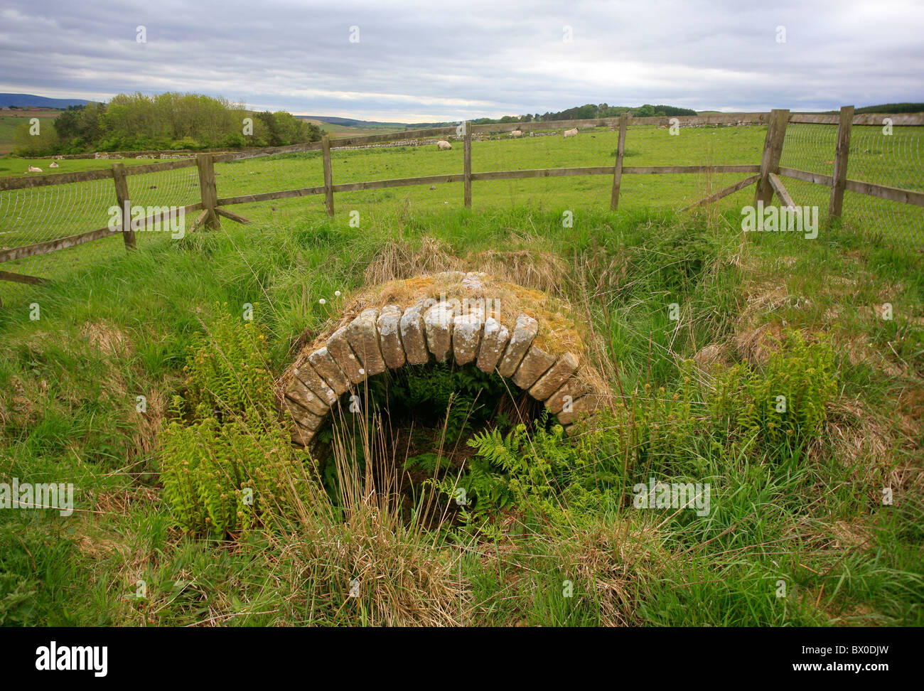 Chester's roman hi-res stock photography and images - Alamy