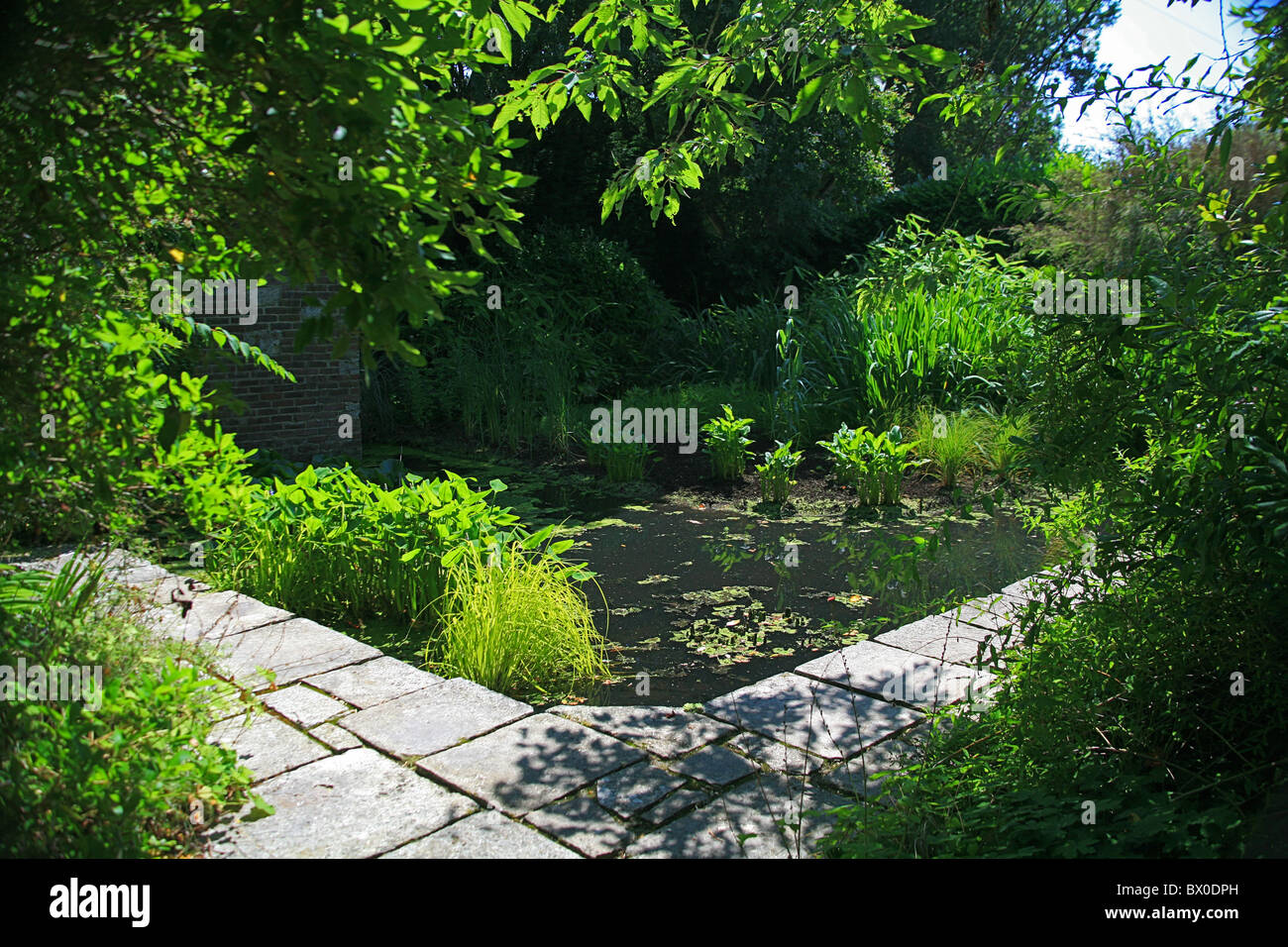 The summer display in the Pond Garden in Knoll Gardens in Wimborne ...